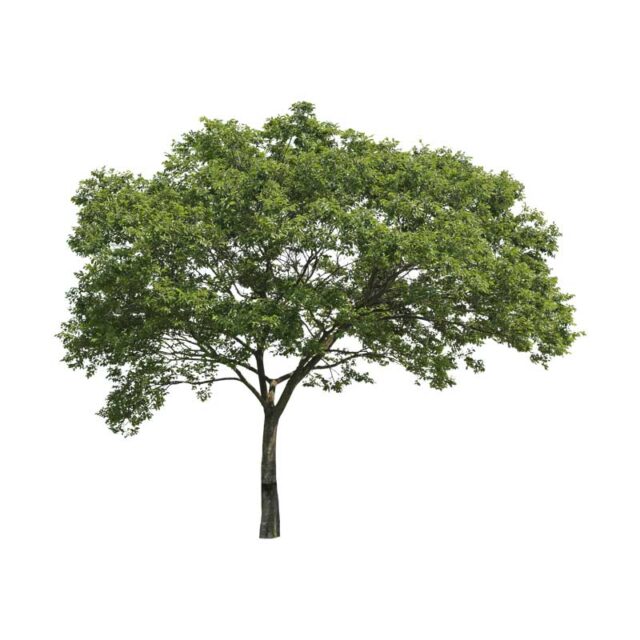 T3_088 – sozaiya.com