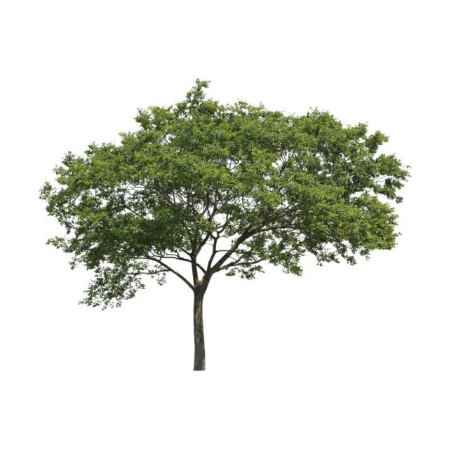 T3_297 – sozaiya.com