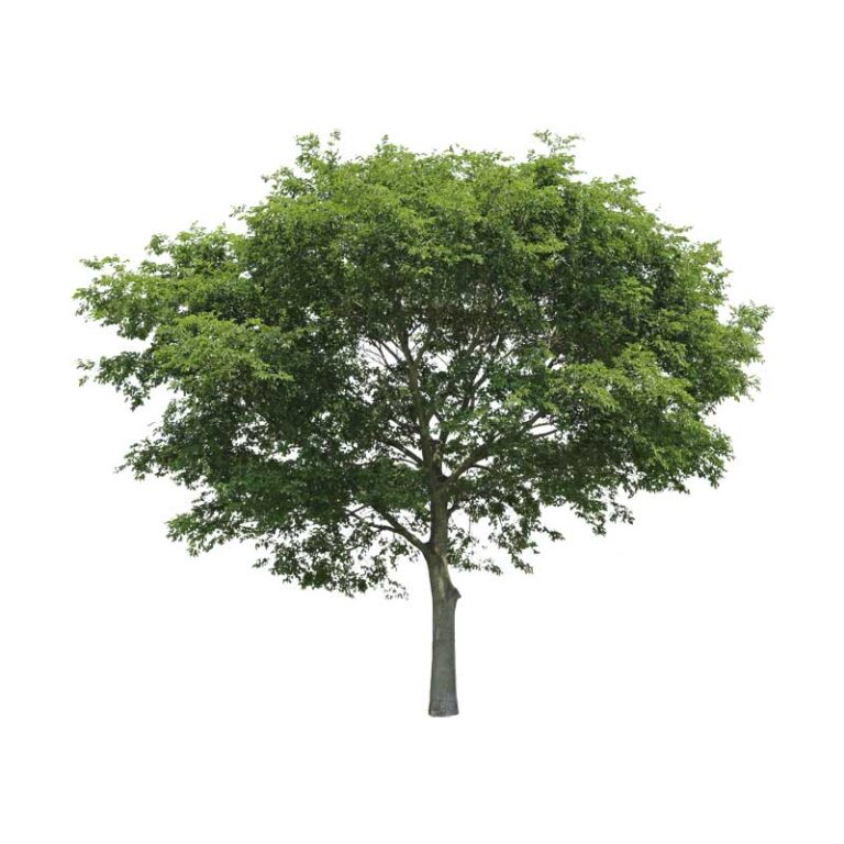 T3_032 – sozaiya.com