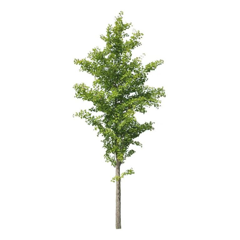 T3_044 – sozaiya.com