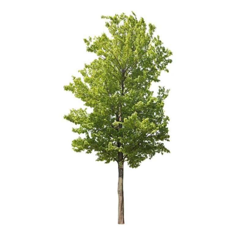 T3_047 – sozaiya.com