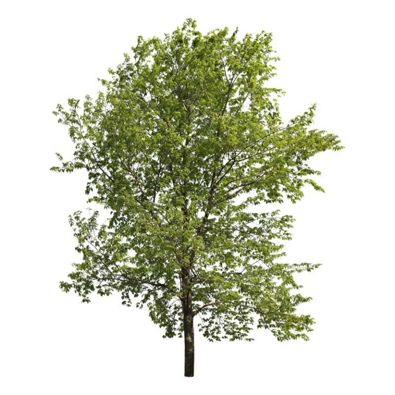 T3_016 – sozaiya.com