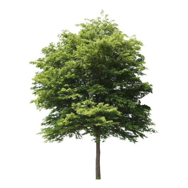 T3_054 – sozaiya.com