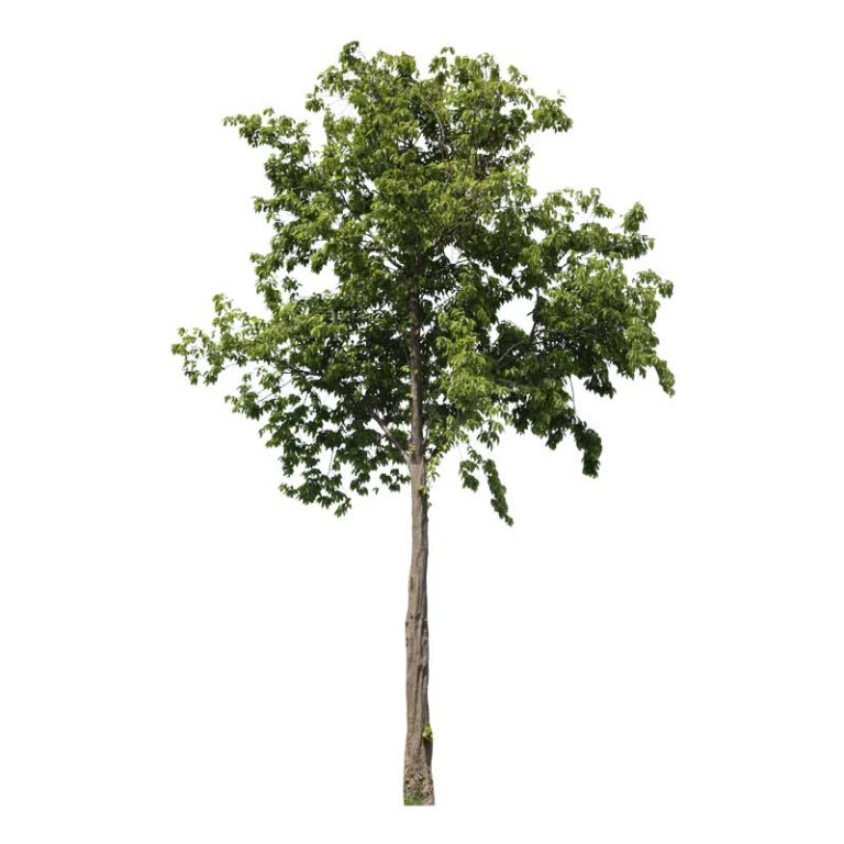 無料データ – ページ 15 – sozaiya.com