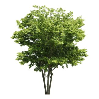 T3_157 – sozaiya.com