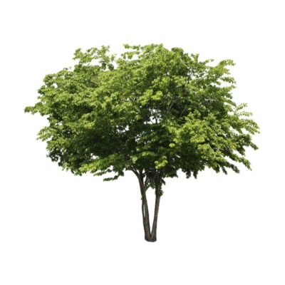 T3_082 – sozaiya.com