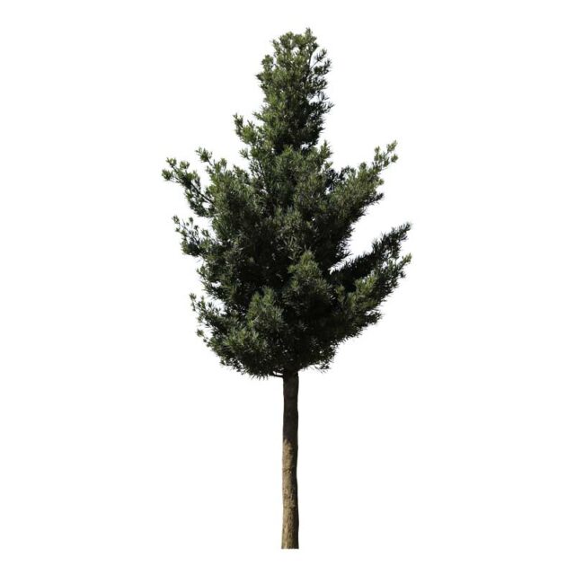 T3_069 – sozaiya.com