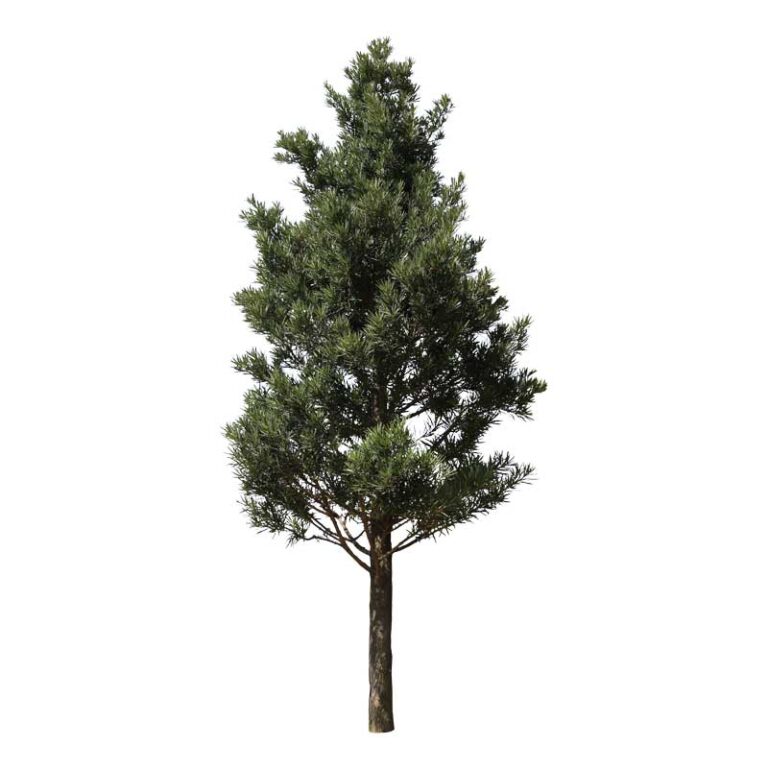 T3_082 – sozaiya.com