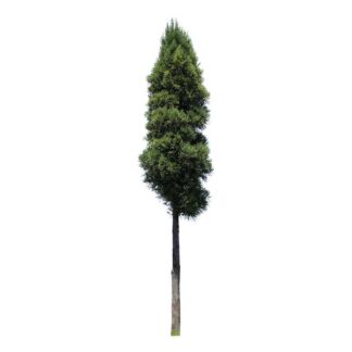 T3_297 – sozaiya.com