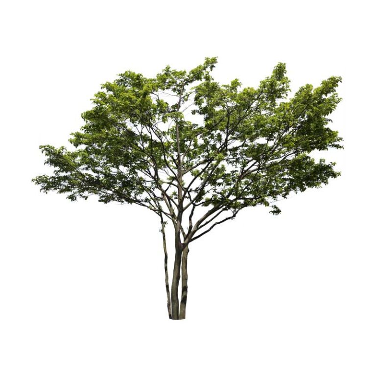 T3_082 – sozaiya.com