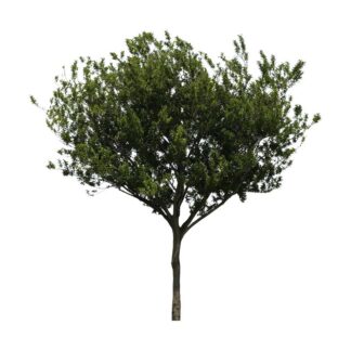 T3_002 – sozaiya.com