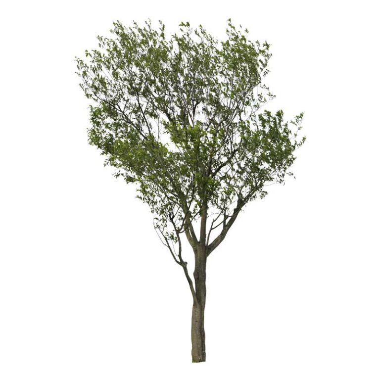 T3_082 – sozaiya.com