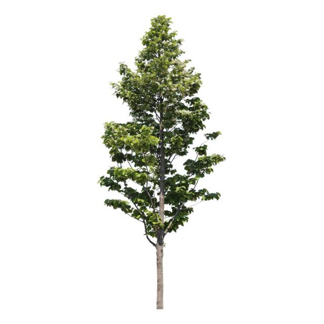 T3_127 – sozaiya.com