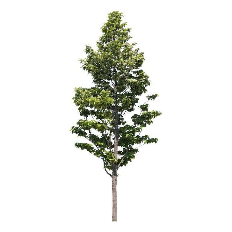 T3_127 – sozaiya.com