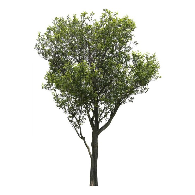 T3_103 – sozaiya.com