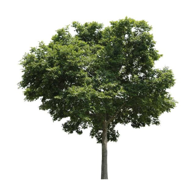 T3_127 – sozaiya.com