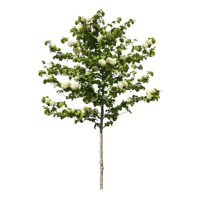 T3_088 – sozaiya.com