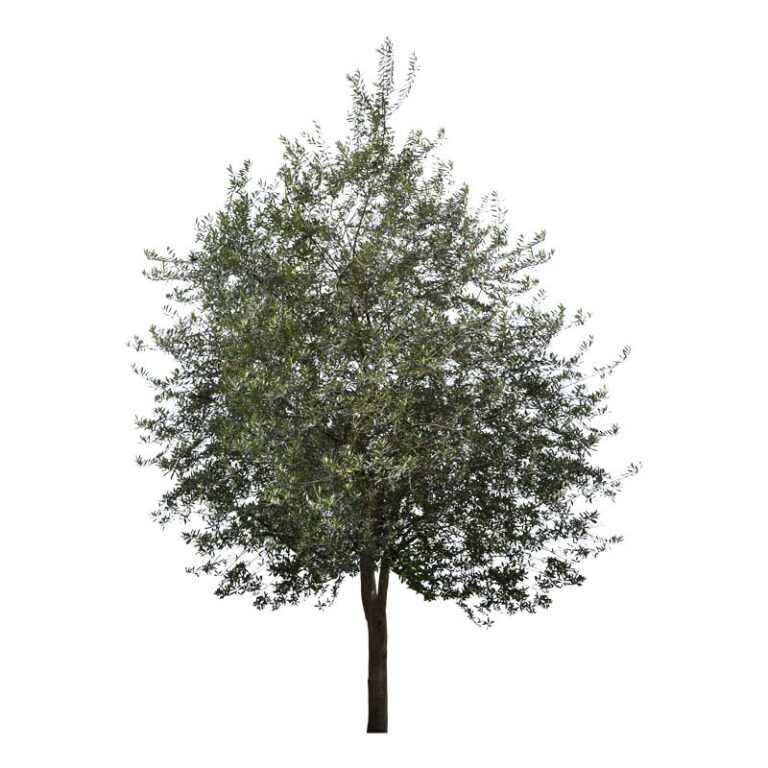 T3_082 – sozaiya.com