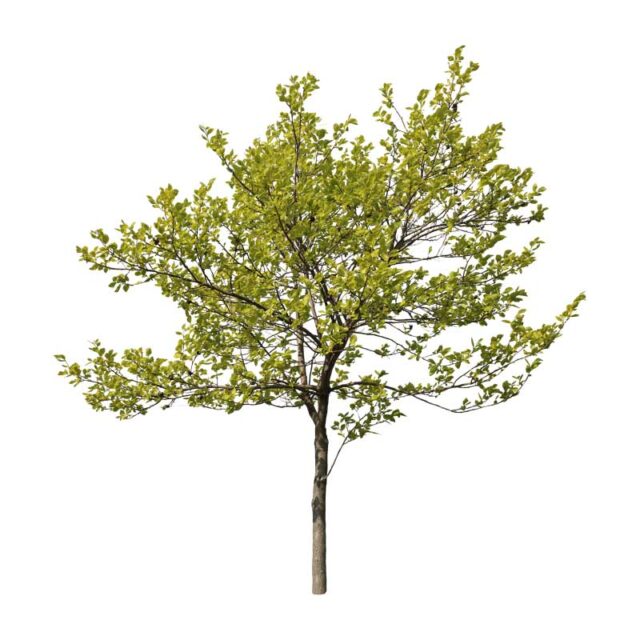 T3_122 – sozaiya.com