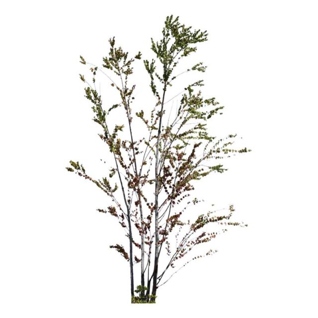 T3_127 – sozaiya.com