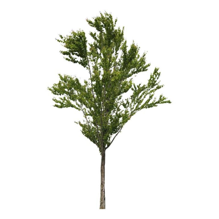 T3_128 – sozaiya.com