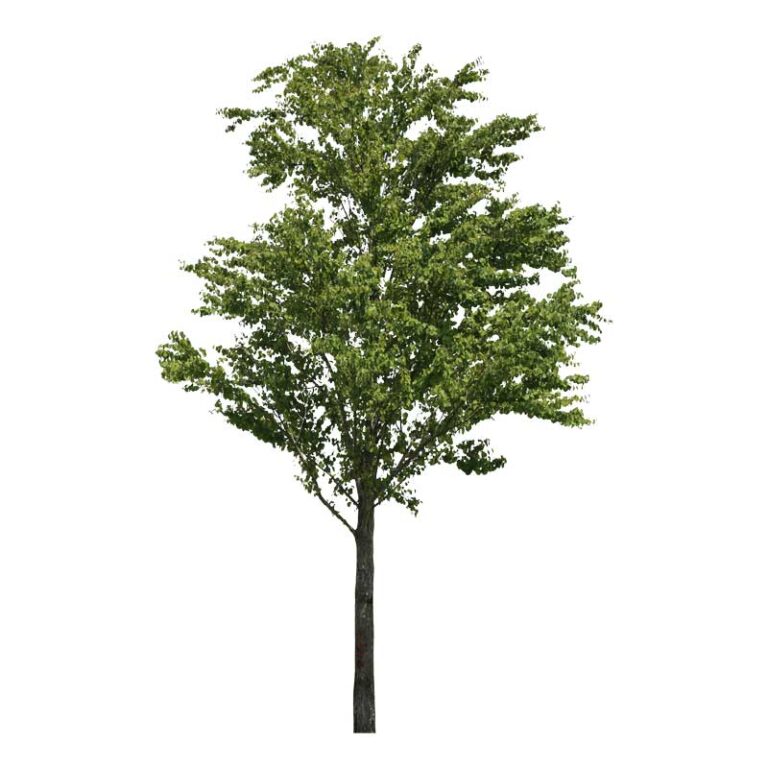 T3_082 – sozaiya.com