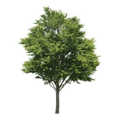 T3_297 – sozaiya.com