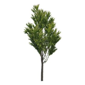 T3_088 – sozaiya.com