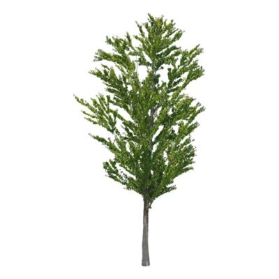 無料樹木素材セット04-100個 free_trees_set04 – sozaiya.com