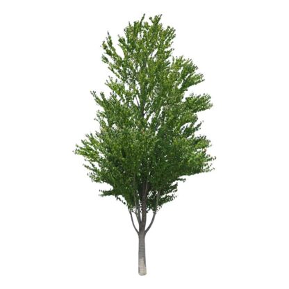 T3_210 – sozaiya.com