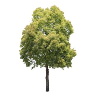 T3_224 – sozaiya.com