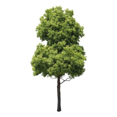 T3_088 – sozaiya.com