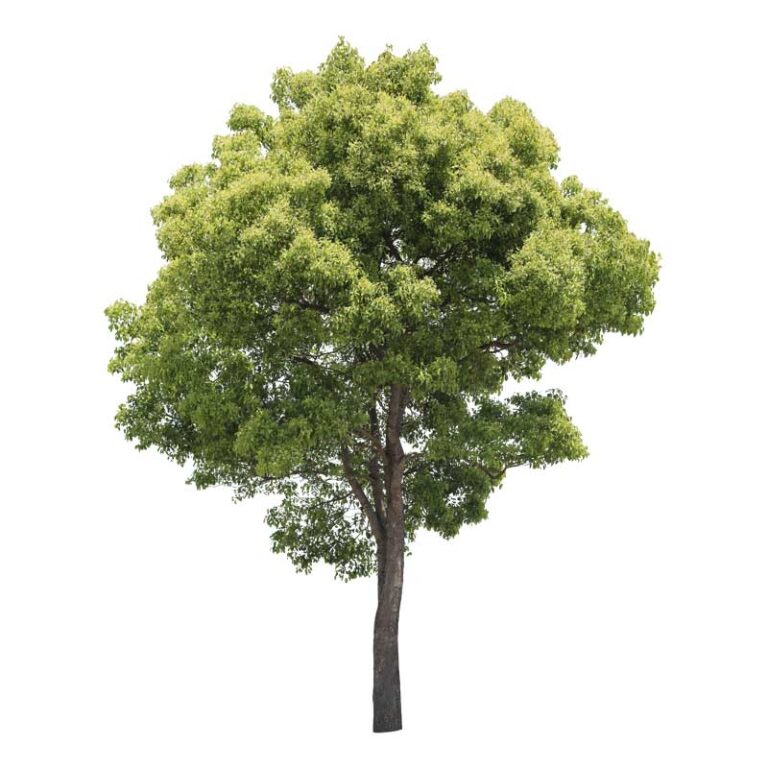 T3_149 – sozaiya.com