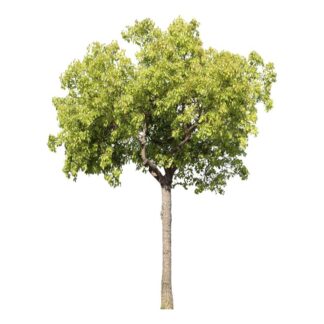 T3_151 – sozaiya.com