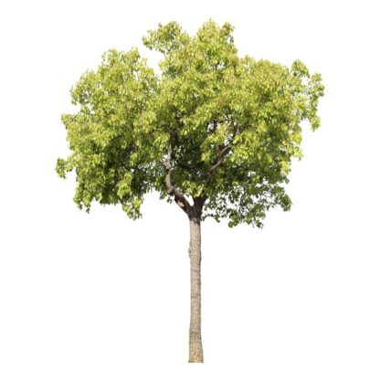 T3_261 – sozaiya.com