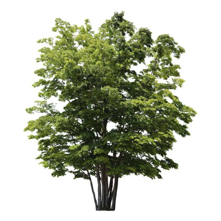 T3_154 – sozaiya.com