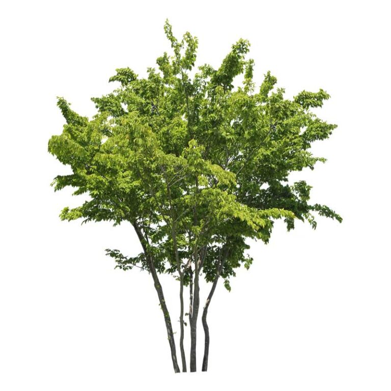 T3_003 – sozaiya.com