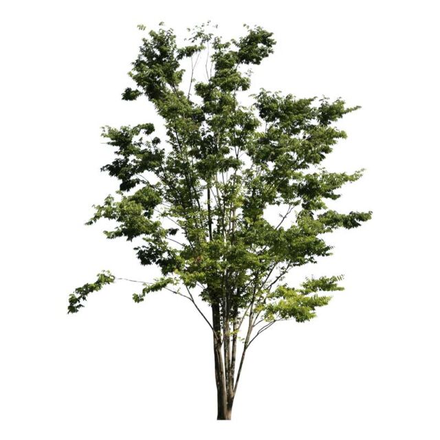 T3_167 – sozaiya.com