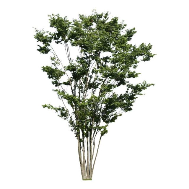 T3_082 – sozaiya.com