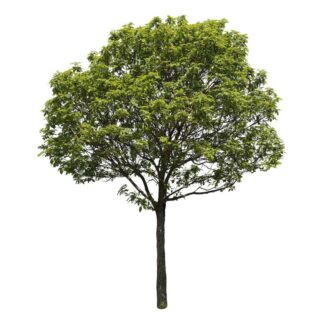 T3_202 – sozaiya.com