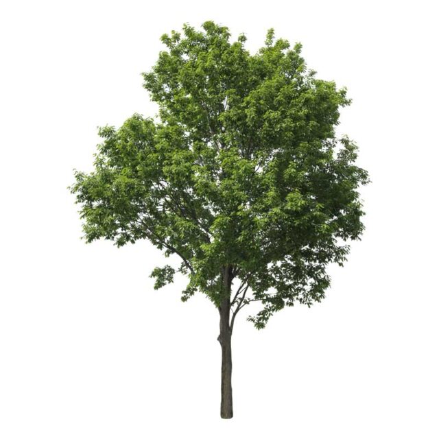 T3_082 – sozaiya.com