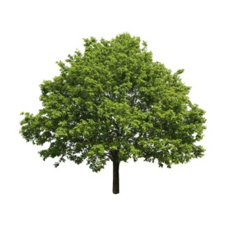 T3_082 – sozaiya.com