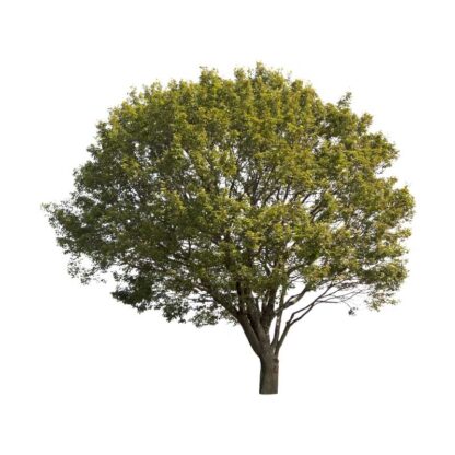 T3_180 – sozaiya.com