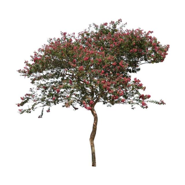 T3_192 – sozaiya.com