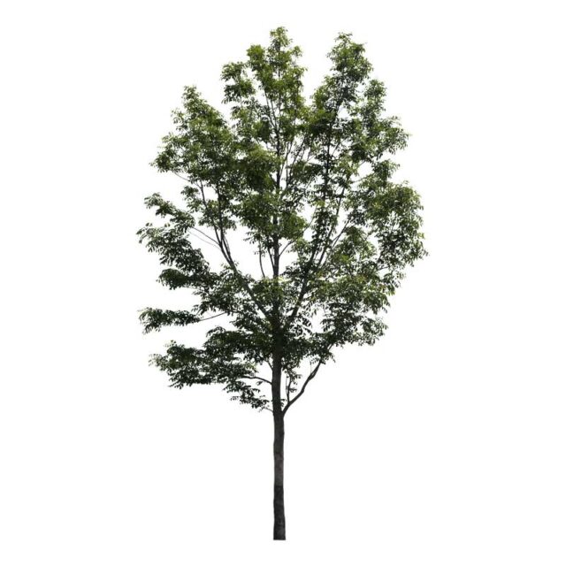 T3_088 – sozaiya.com