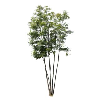 T3_199 – sozaiya.com