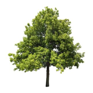 T3_199 – sozaiya.com