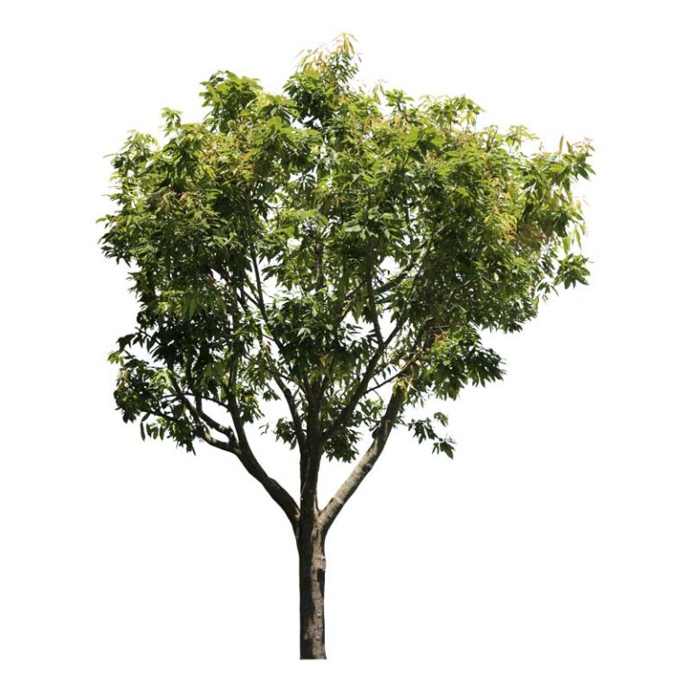 T3_202 – sozaiya.com