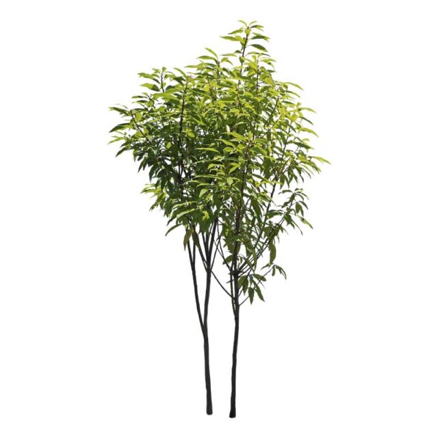 T3_203 – sozaiya.com