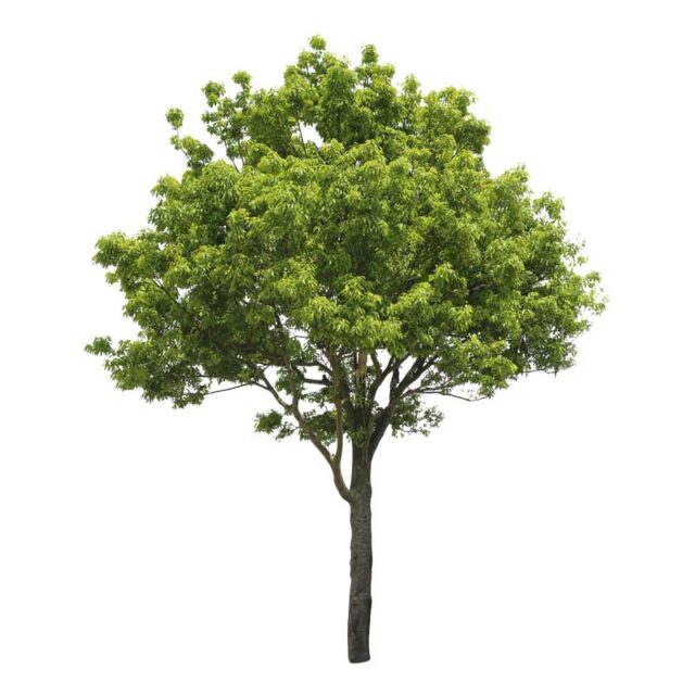 T3_209 – sozaiya.com